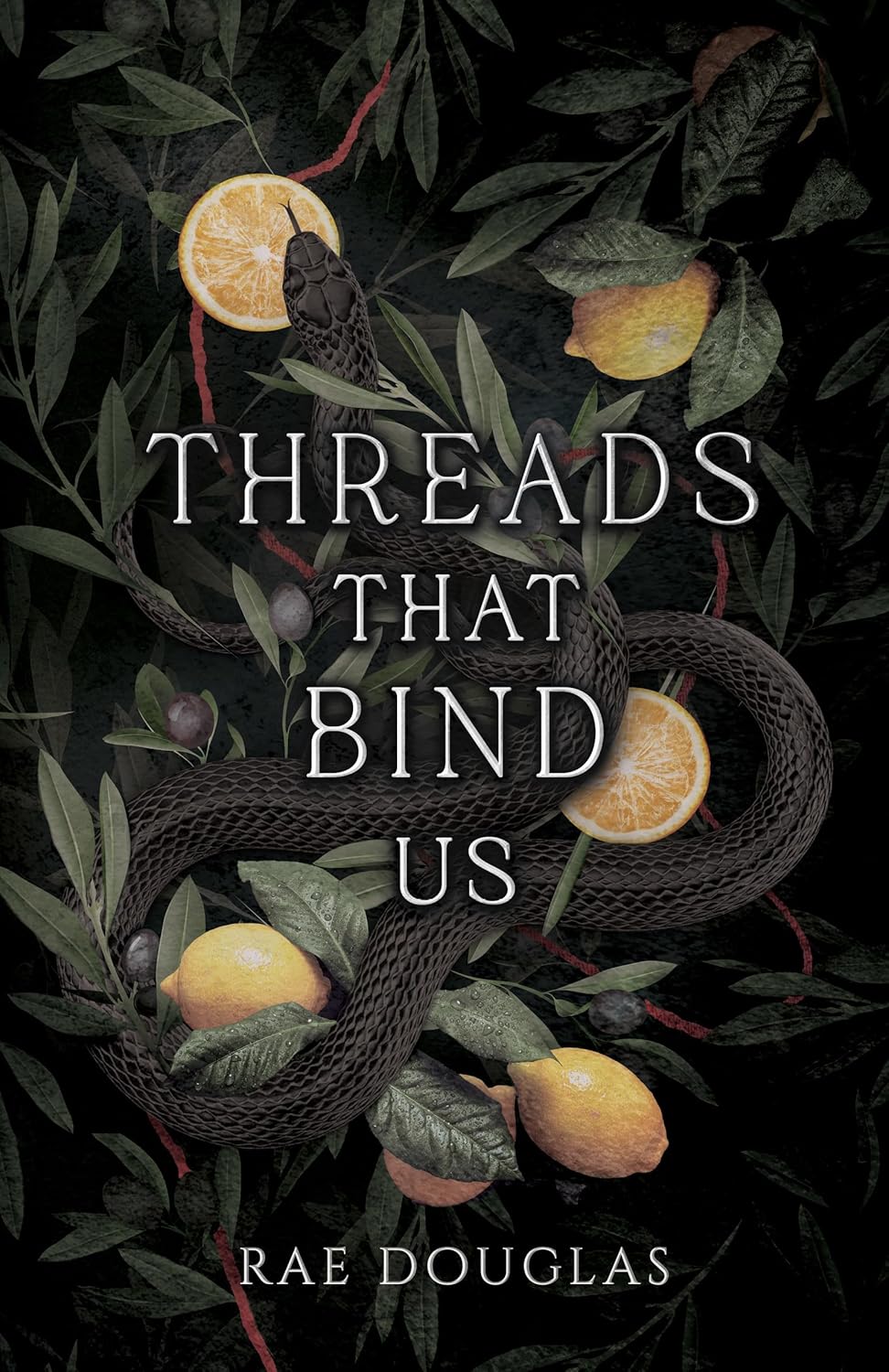 The Best Why Choose Romance Series – The Nora Theory